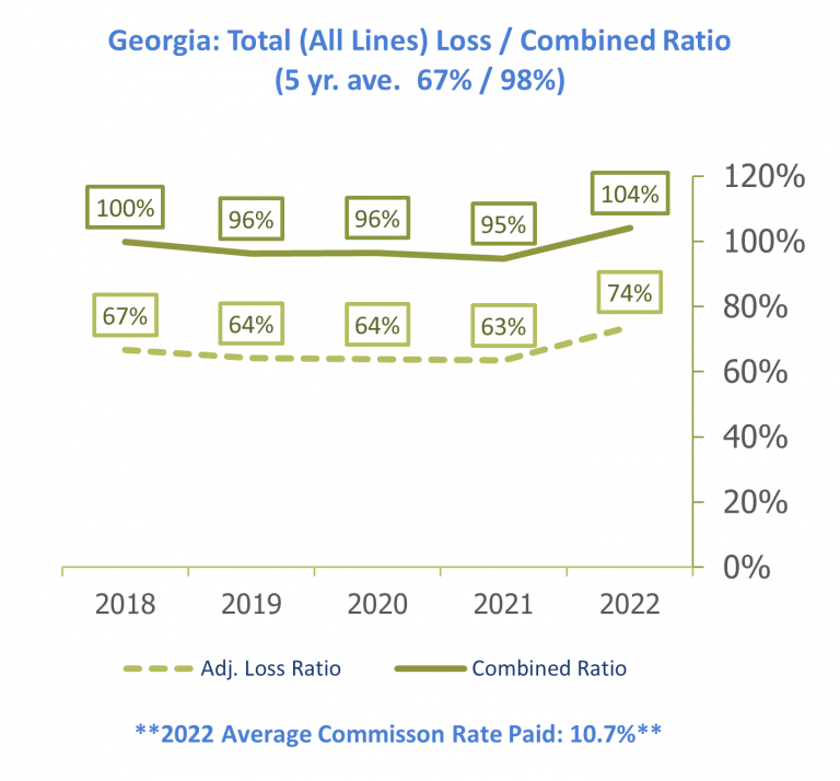2023 Georgia P-C Marketplace Report - IIAG