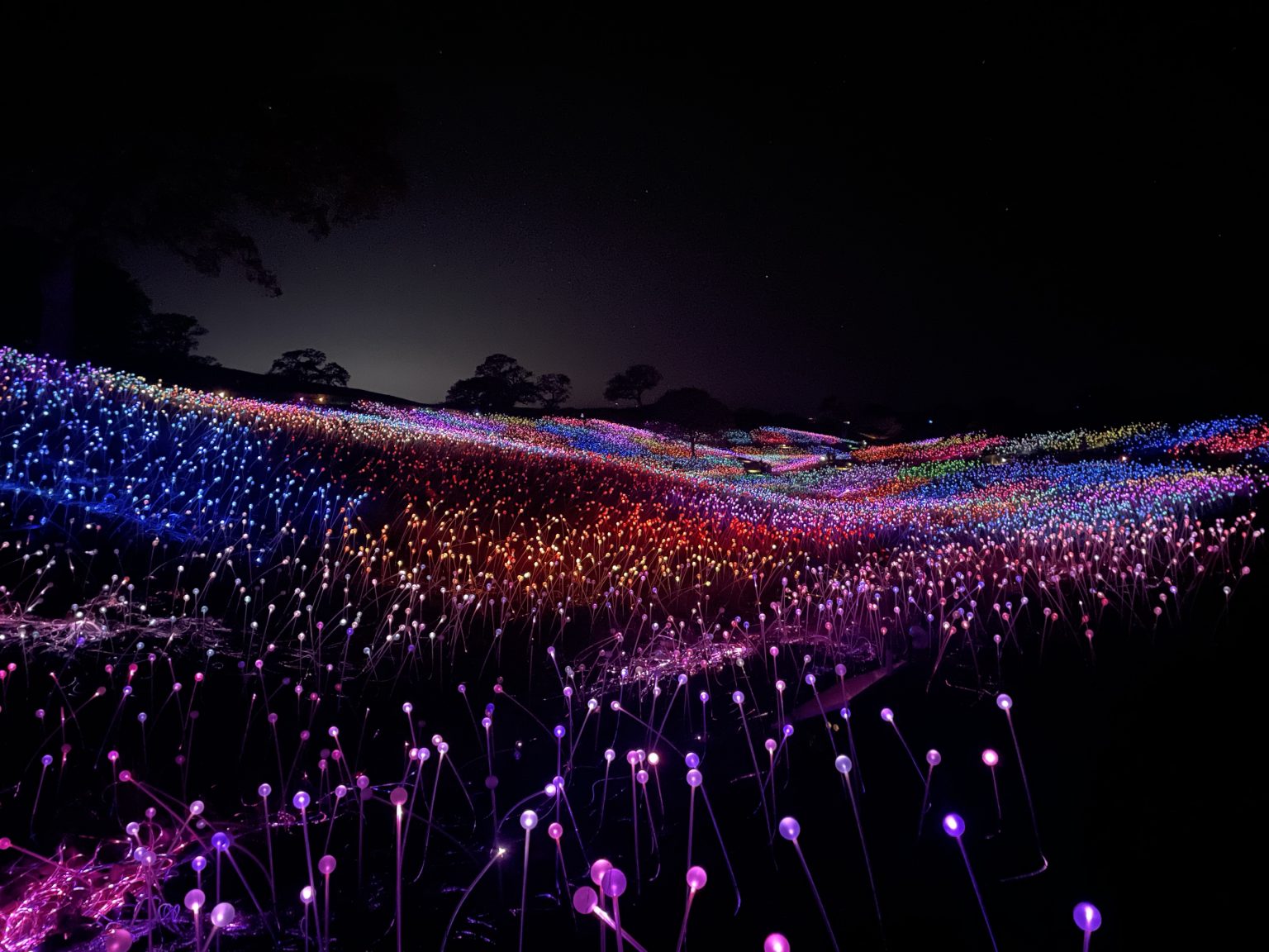 It’s official – popular Field of Light at Sensorio is here to stay ...