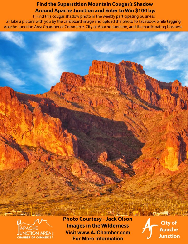 Superstition Mountain Cougar - Apache Junction Chamber of Commerce