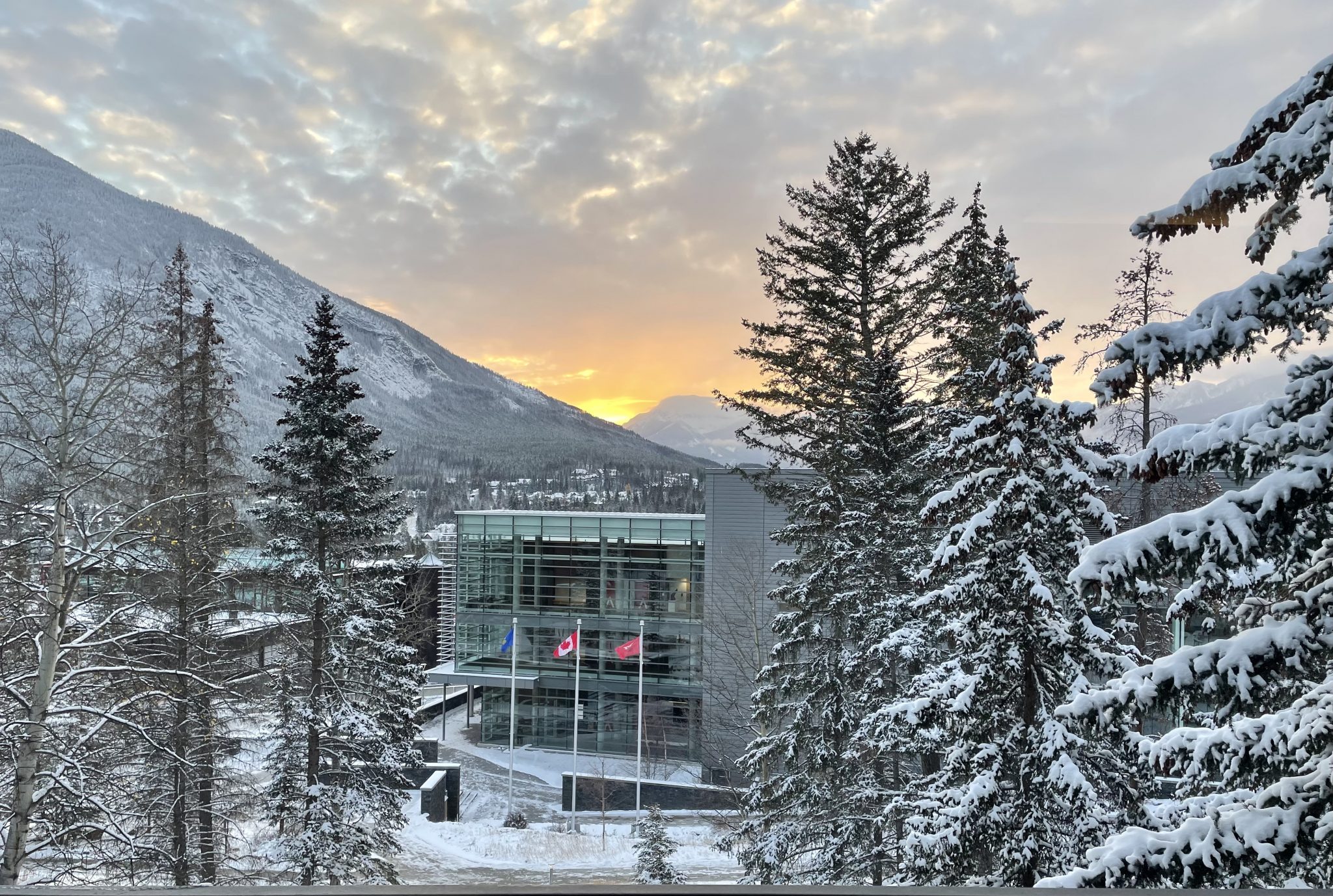 2023 Banff Conference - PROMIS Health Organization