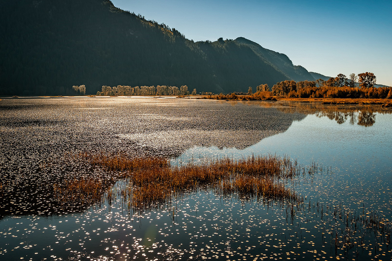 Former SWS President, Frank Day, wins national award - SOCIETY OF ...