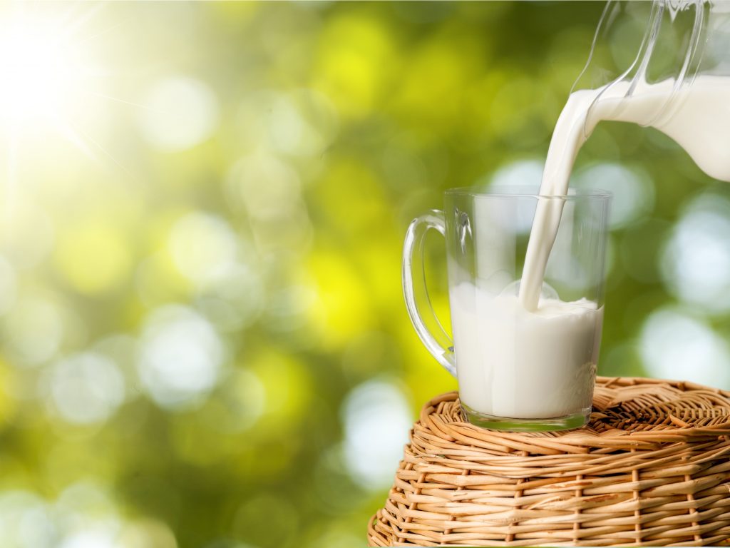 Grain and Dairy MyPlate Sorting Activity - National CACFP Sponsors ...