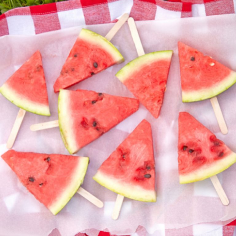 Watermelon Pop - National CACFP Sponsors Association