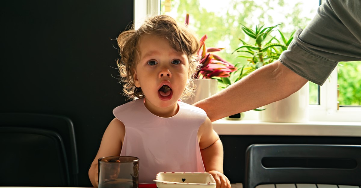 Safe Feeding Practices to Prevent Choking - National CACFP Sponsors ...