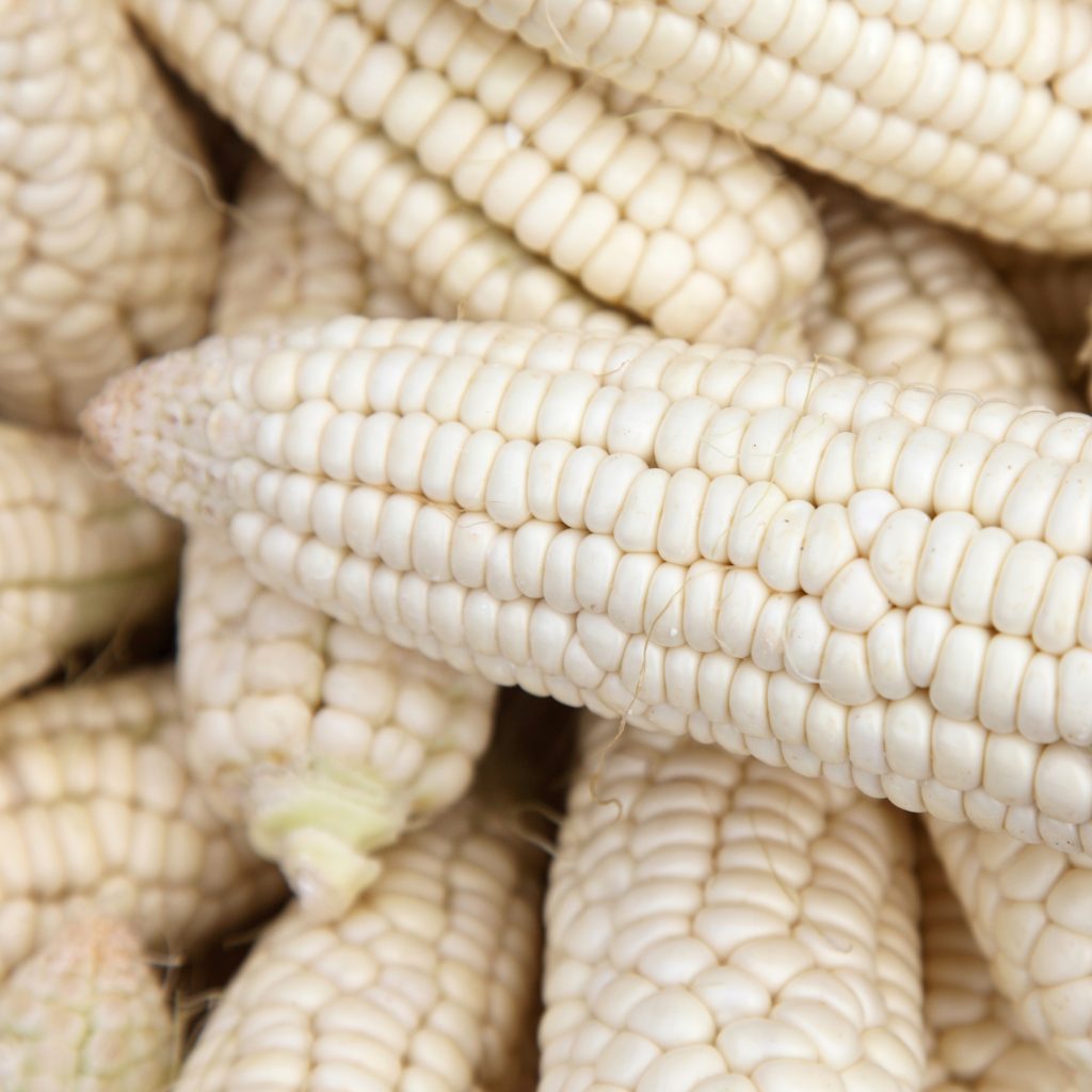 Crediting Traditional Indigenous Foods in the CACFP - National CACFP ...