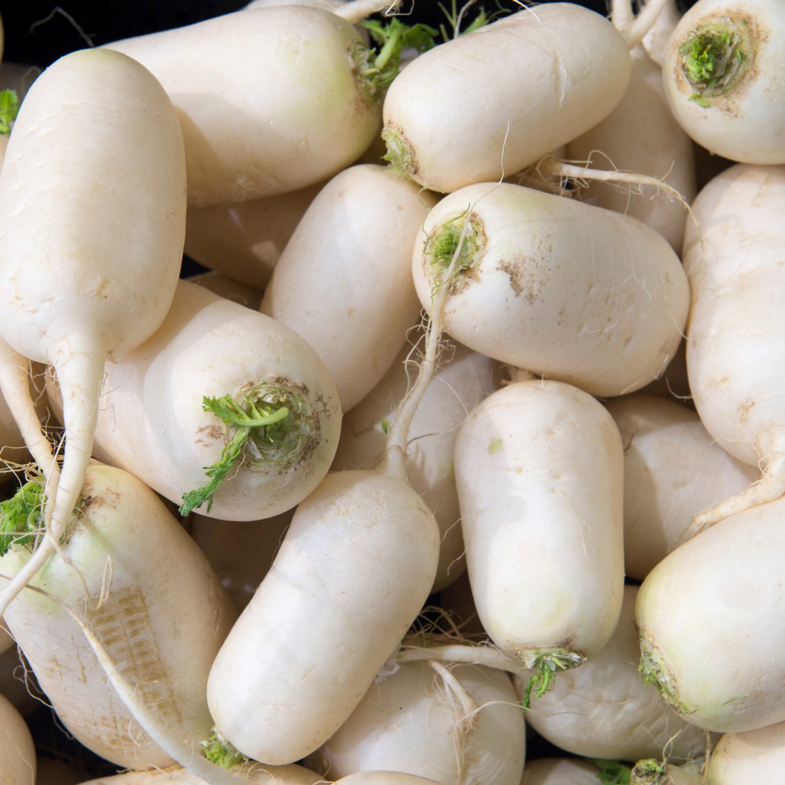 Crediting Traditional Indigenous Foods in the CACFP - National CACFP ...