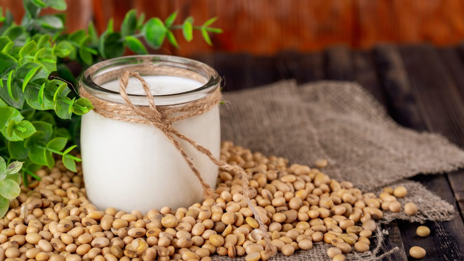 Meal Pattern Minute - National CACFP Sponsors Association