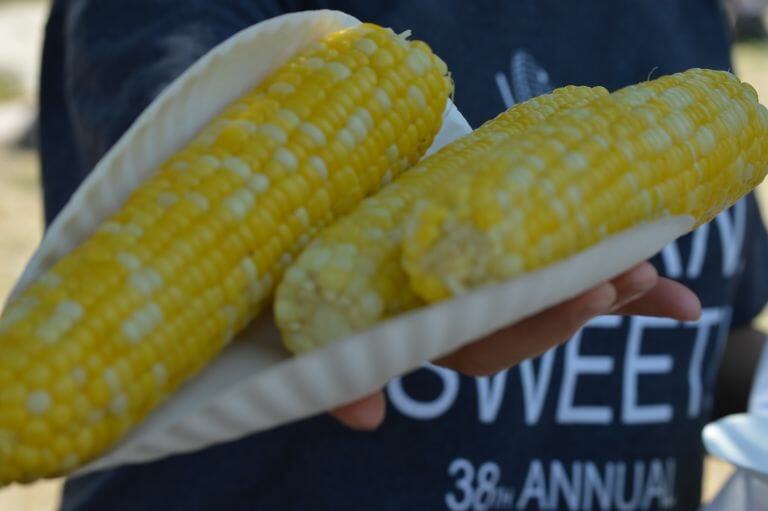 Home - Adel Partners Chamber of Commerce