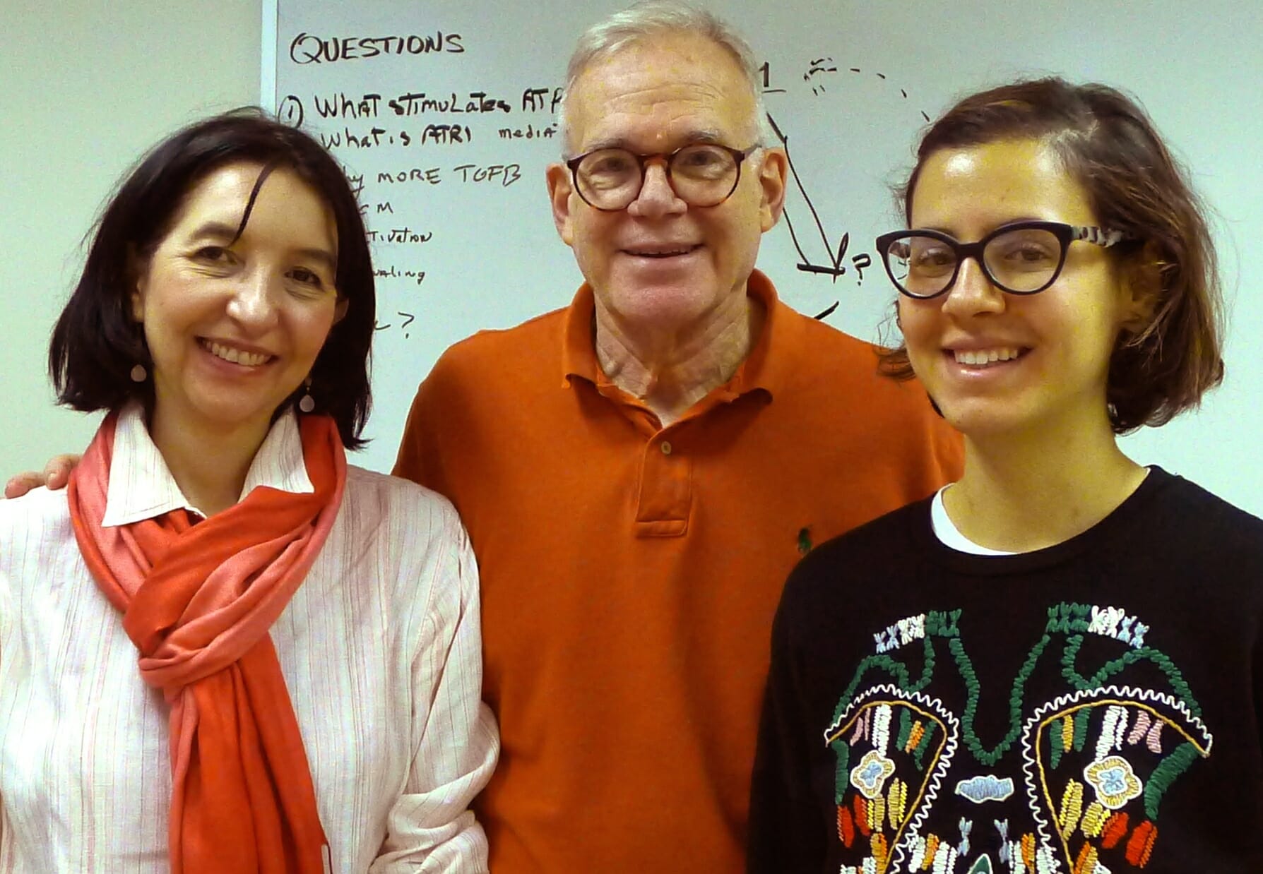 Daniel B. Rifkin, Ph.D. - North American Vascular Biology Organization