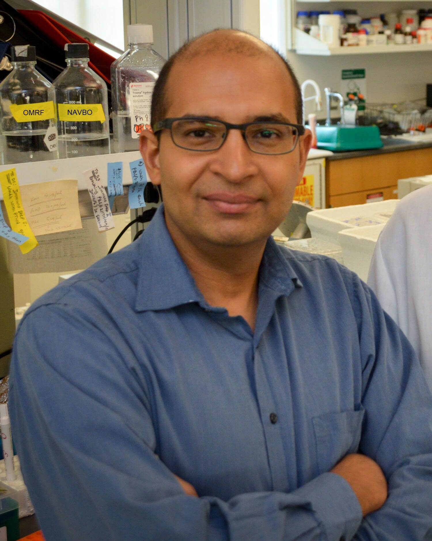 Wnt/ß-catenin signaling, mechanotransduction and lymphatic vascular ...