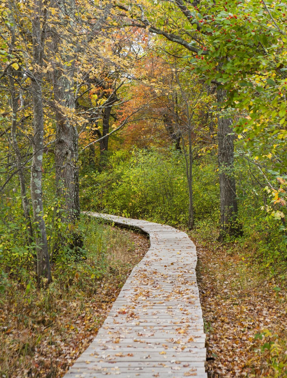 Trip Up the Charles Needham - Charles River Regional Chamber