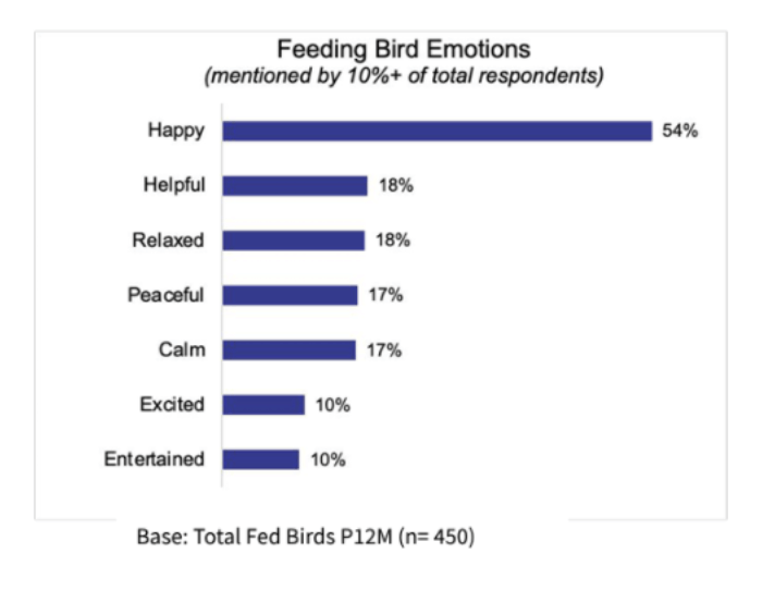 Why Bird Feeding is Important - Wild Bird Feeding Institute