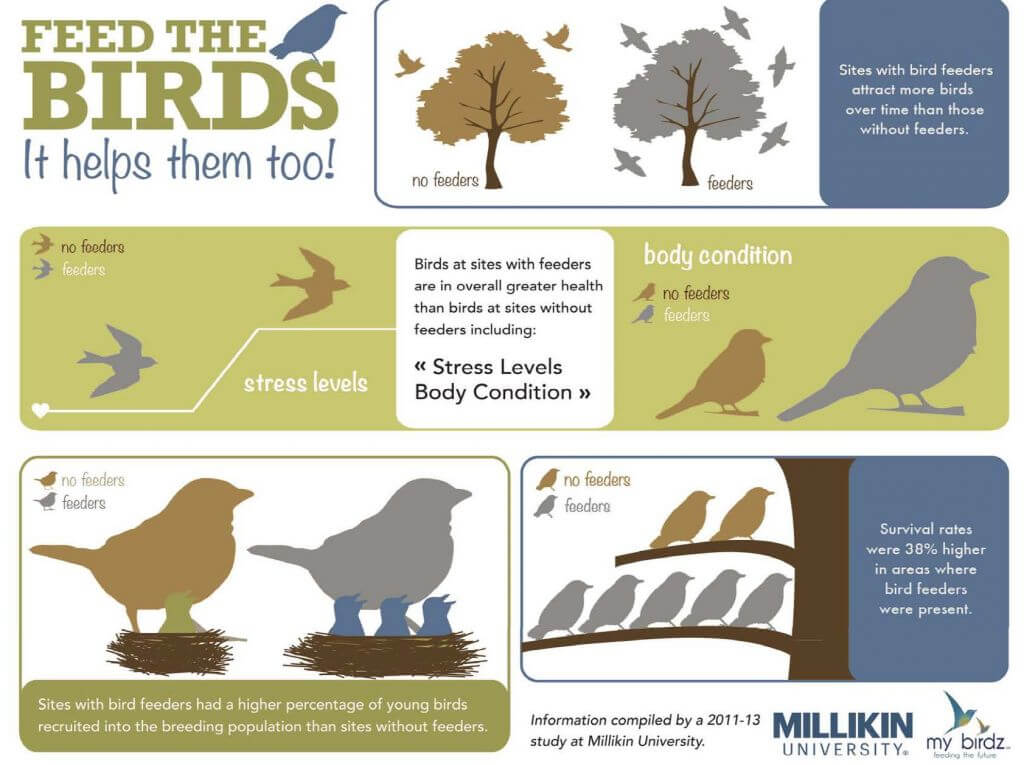 WBFI Research Foundation - Wild Bird Feeding Institute