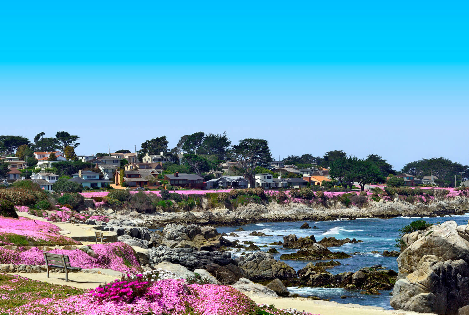 Things to Do - Pacific Grove Chamber of Commerce