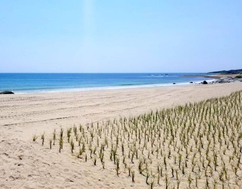 Beaches of Martha's Vineyard