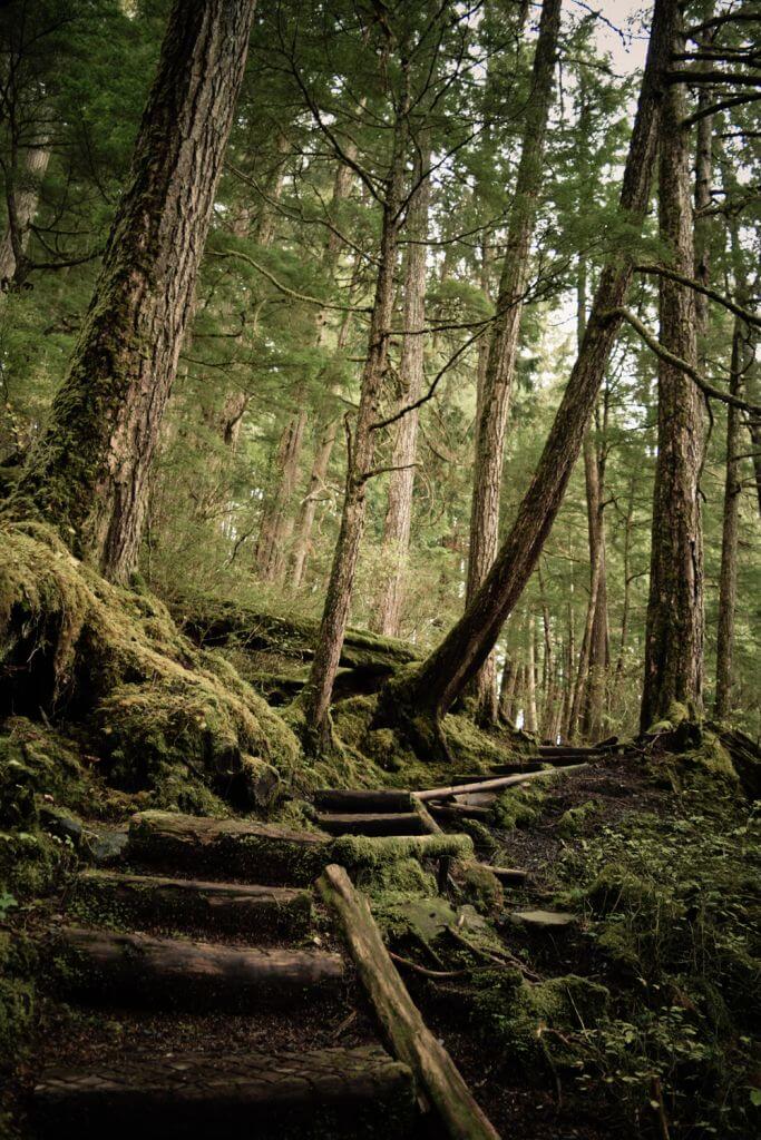 Home - Greater Sitka Chamber of Commerce