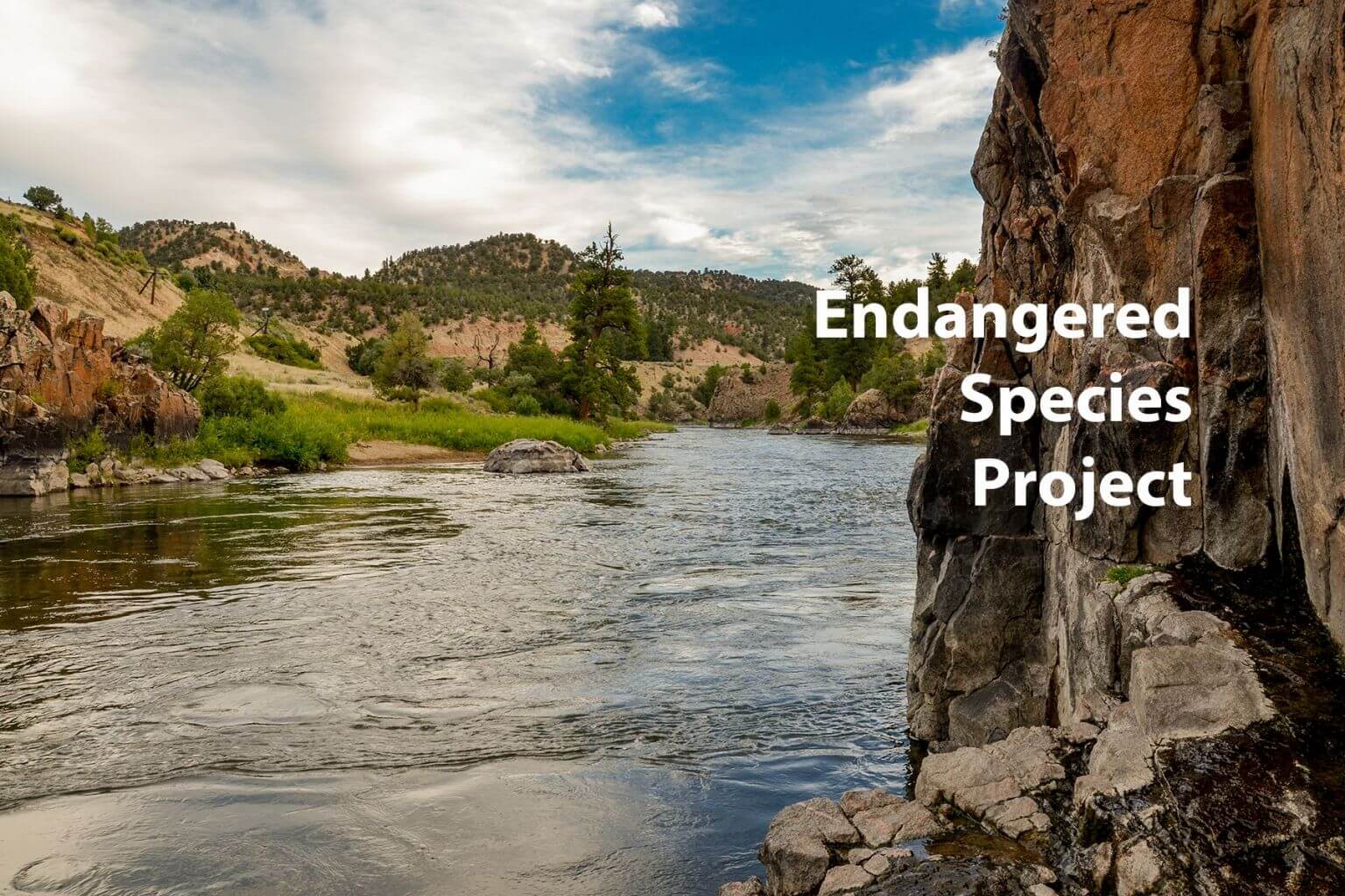 Endangered Species - Colorado Water Congress