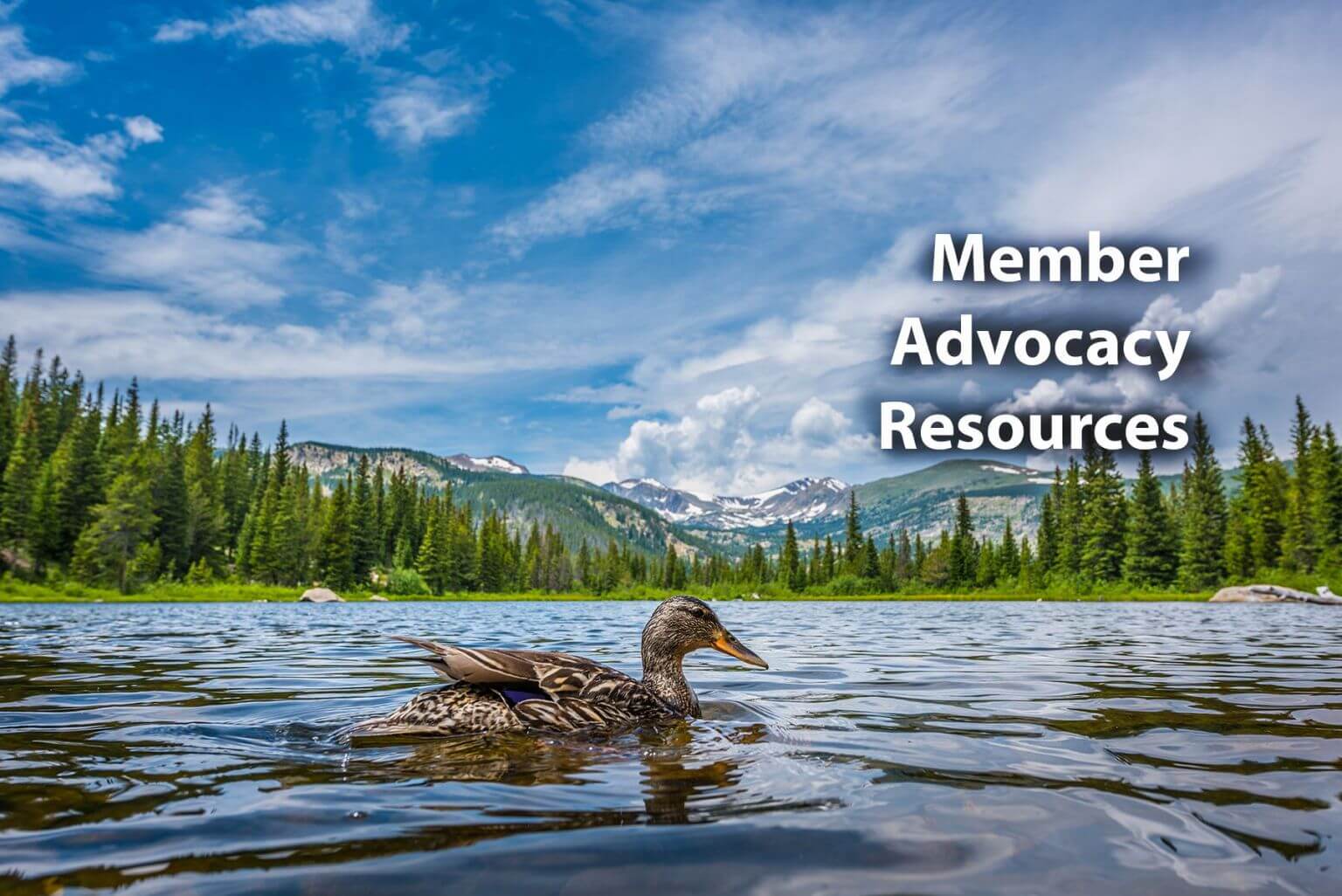 Advocacy - Colorado Water Congress