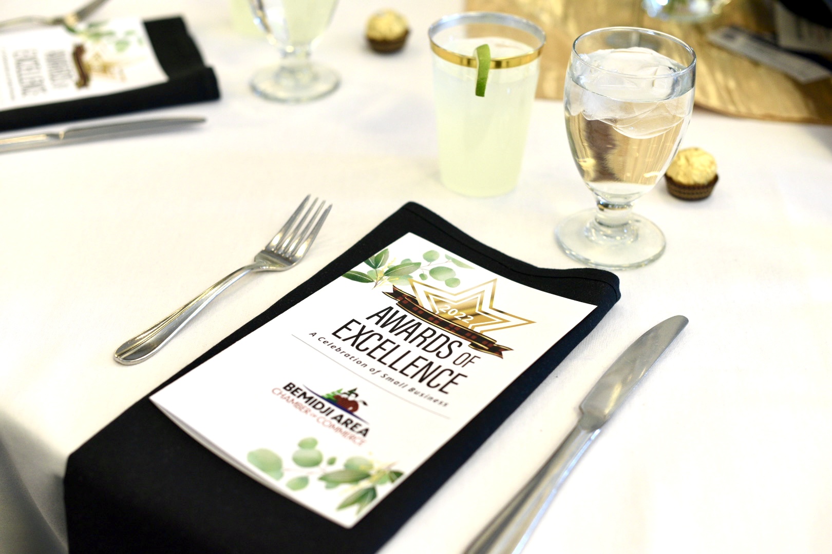 Awards of Excellence - 2 - Bemidji Area Chamber of Commerce